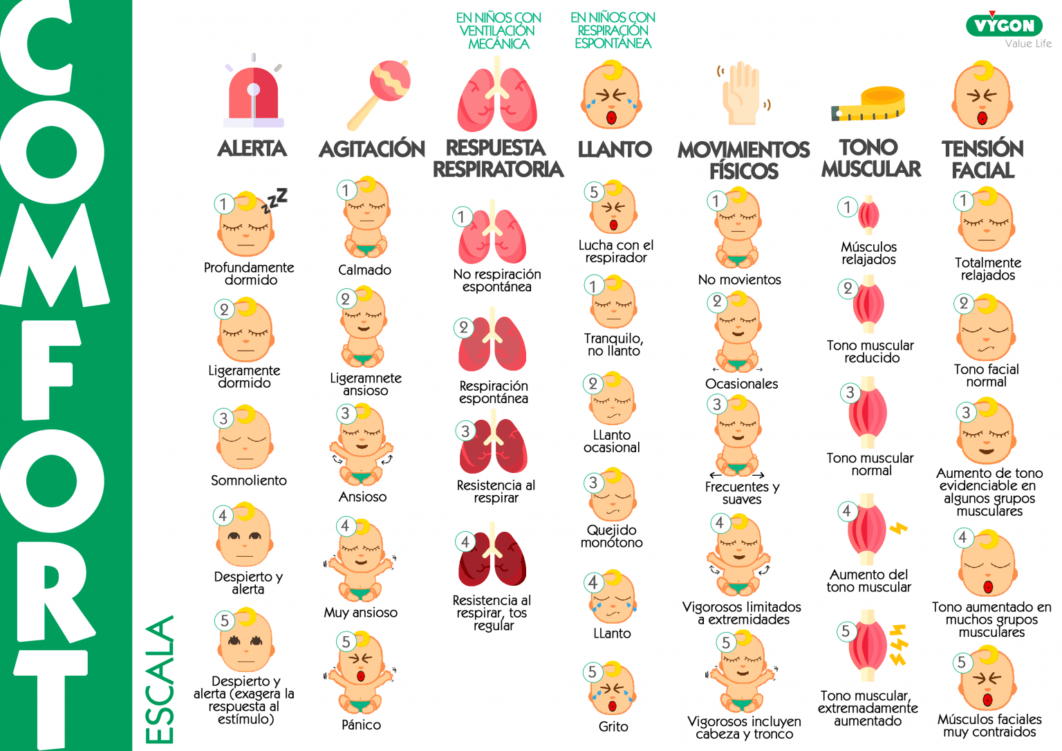 Signos de Alarma en neonatos: factores de riesgo, patologías y cómo actuar
