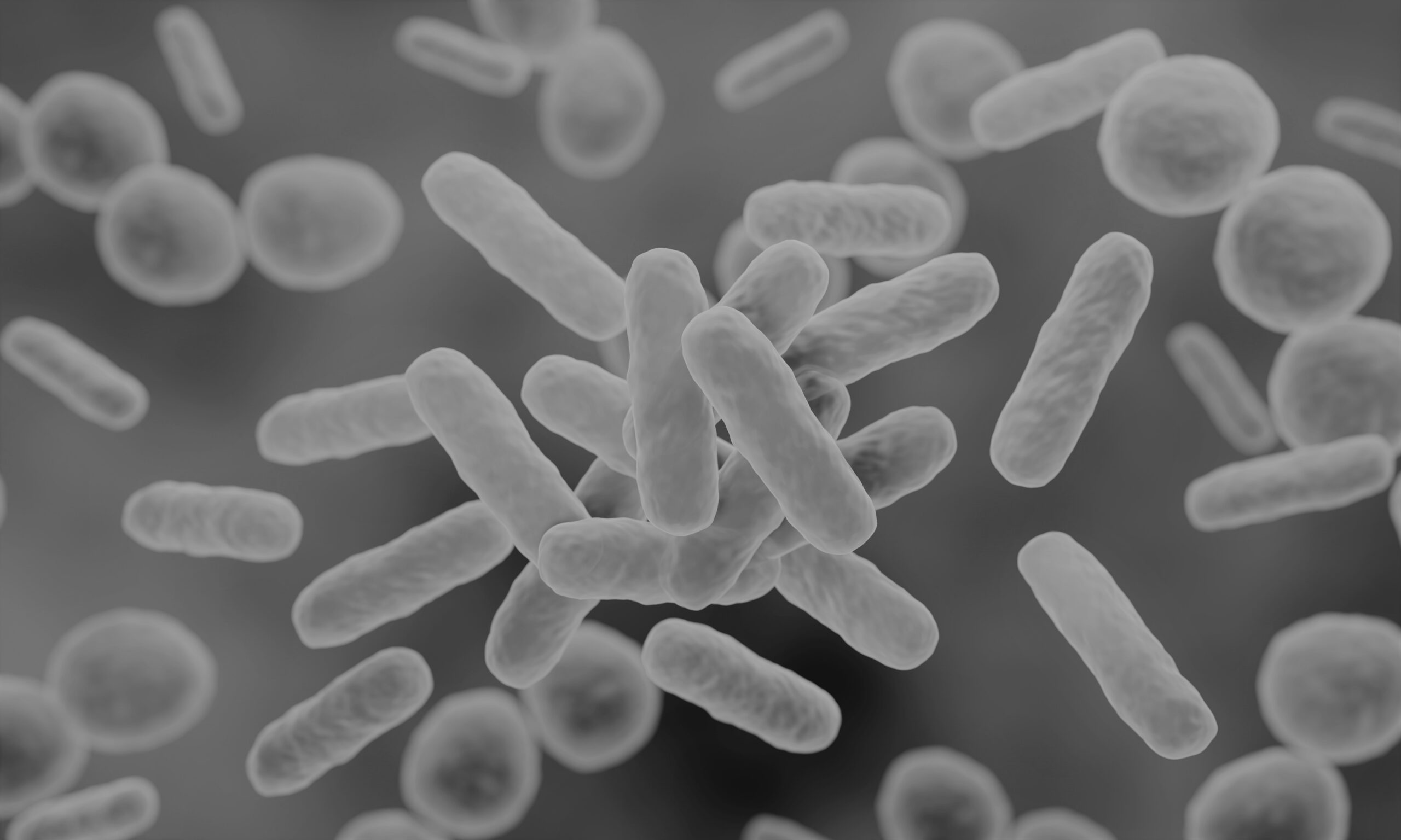 Cómo aplicar el protocolo de bacteriemia zero explicado por ...