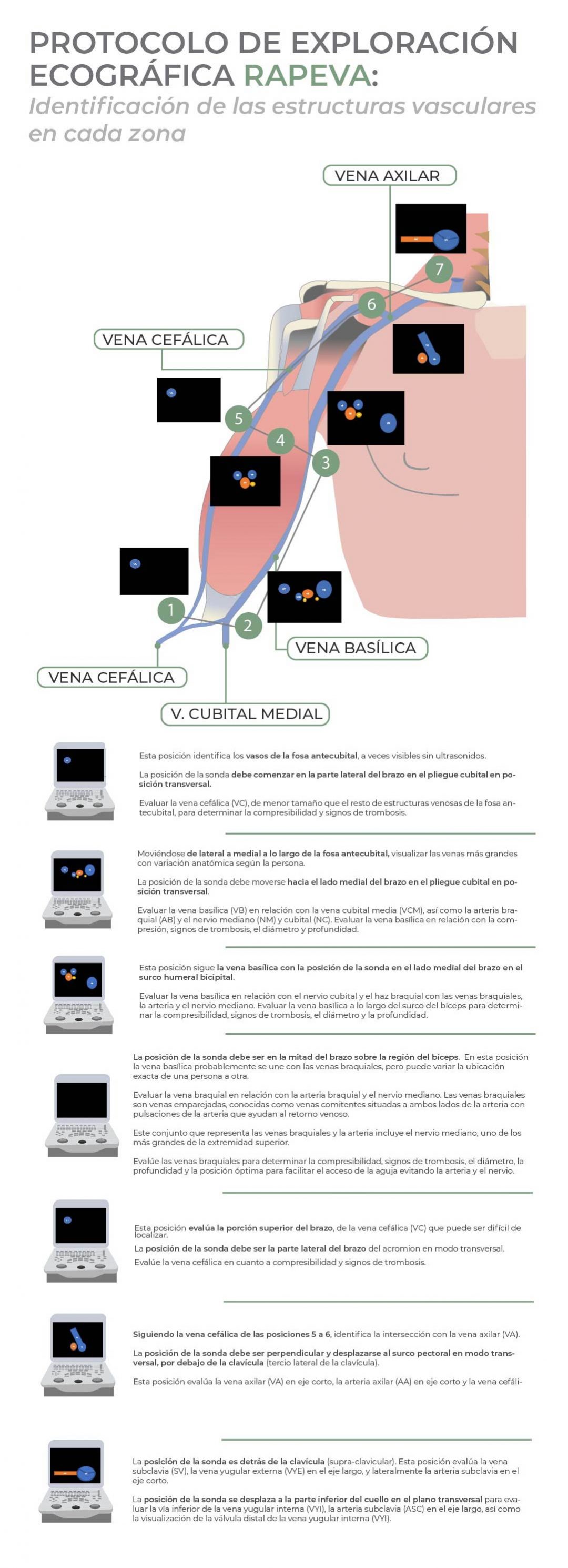 Protocolo de exploración ecográfica RaPeVa - Campus Vygon España