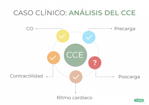 La importancia de la eficiencia del ciclo cardiaco (CCE). Un caso ...
