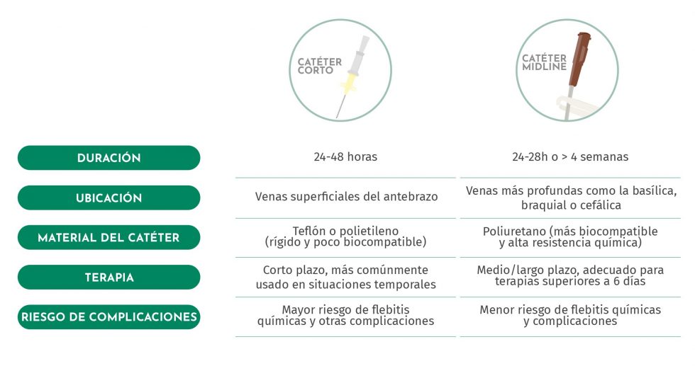 Explorando el Acceso Vascular Periférico: Definición y Significado ...