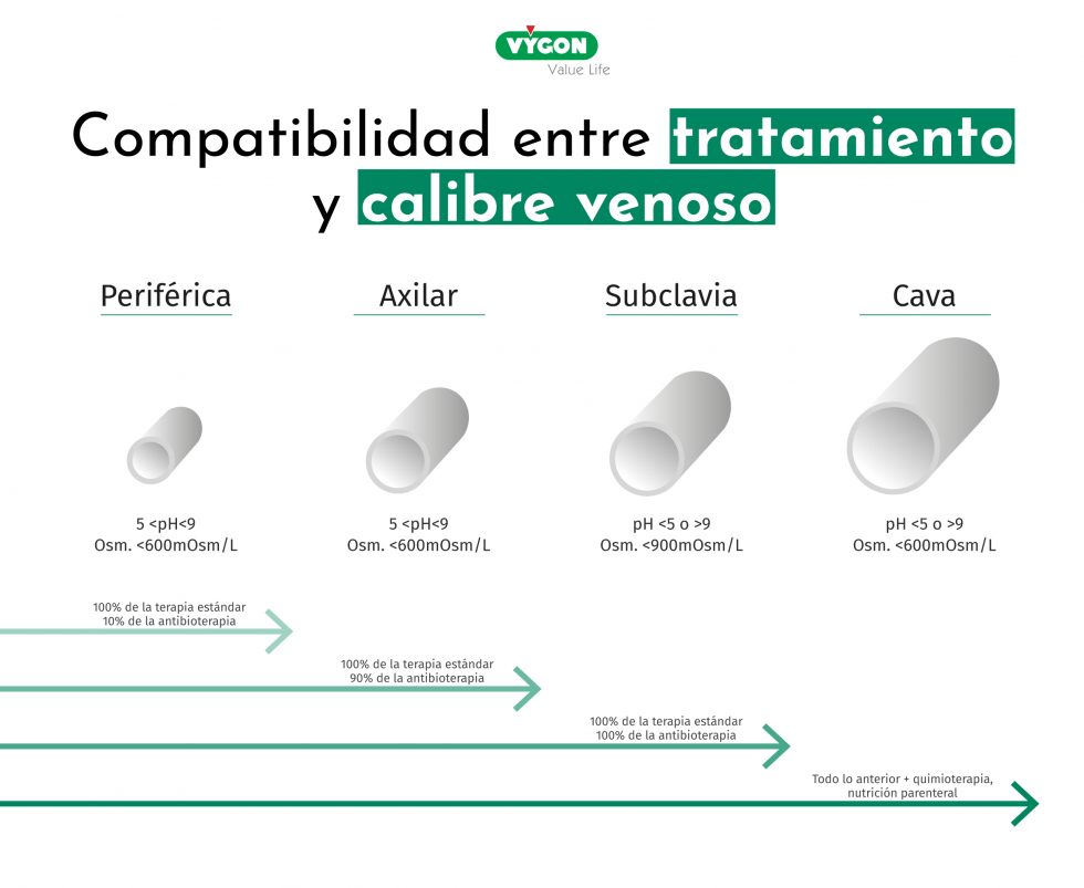 Explorando el Acceso Vascular Periférico: Definición y Significado ...