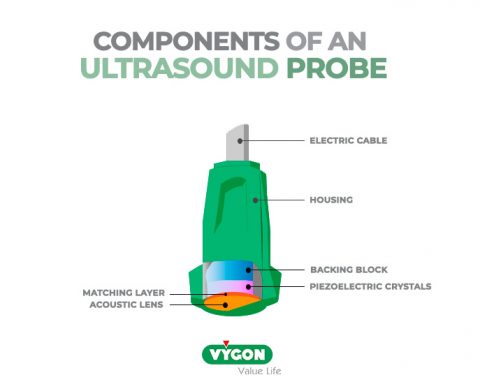 Components of an ultrasound probe - Campus Vygon Global