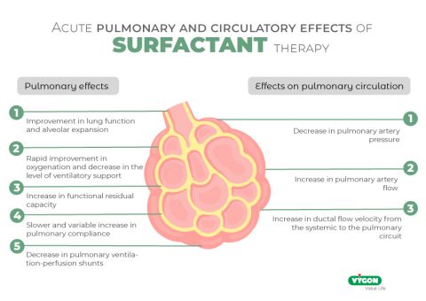 The importance of surfactant in the neonatal patient - Campus Vygon Global