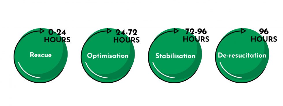 Fluid therapy: challenges in the septic patient - Campus Vygon Global