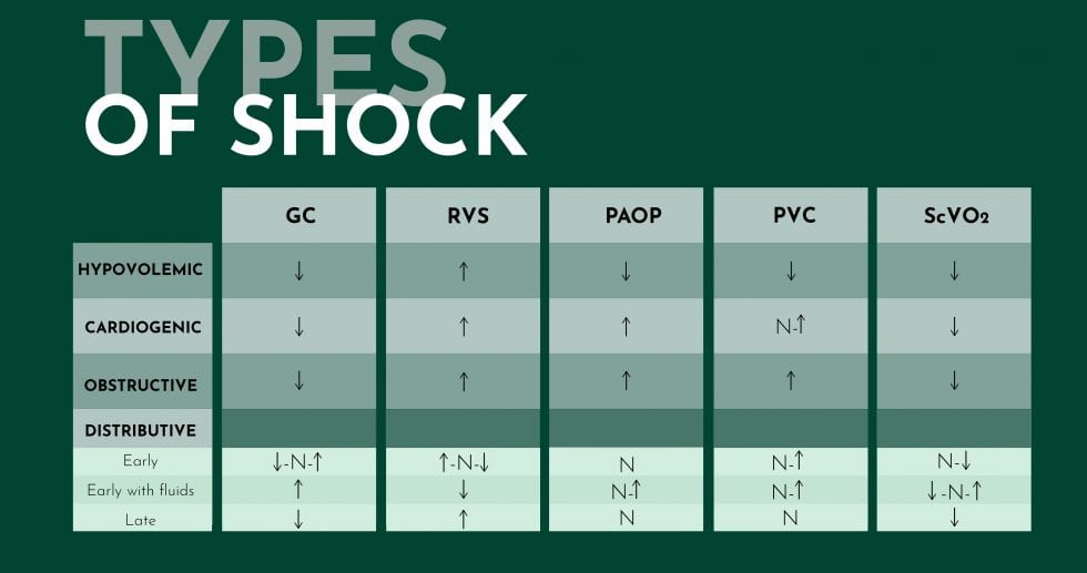 5 key parameters to understand the hemodynamic response of a septic patient - Campus Vygon Global