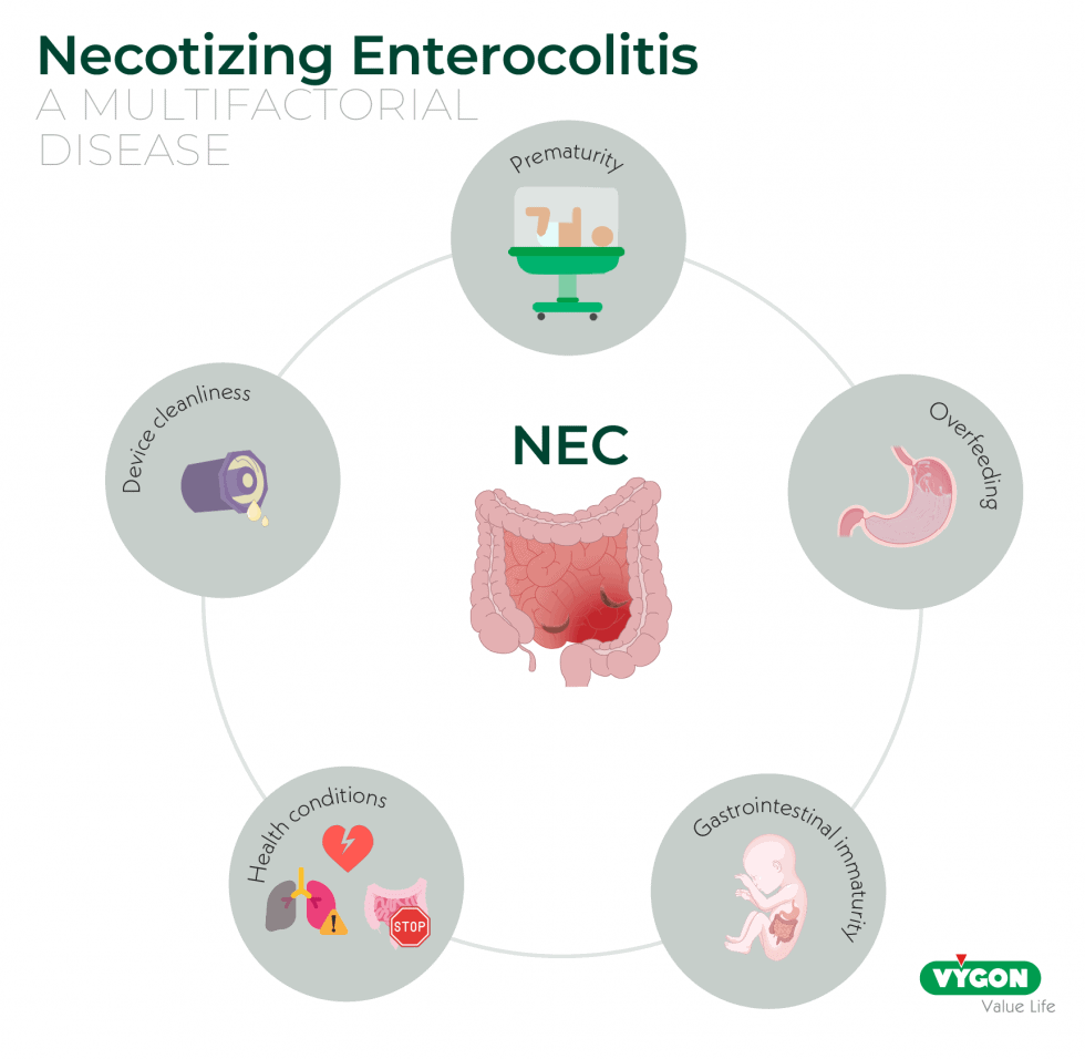 What are the risk factors for Necrotising enterocolitis (NEC)? - Campus ...