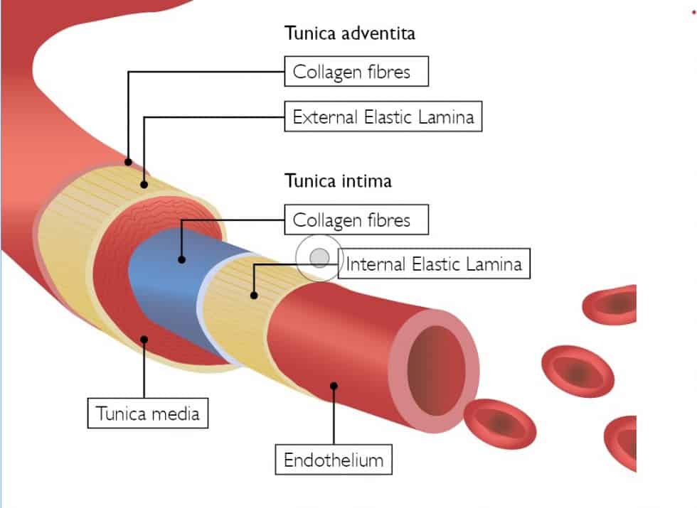 Article 2: Anatomy & Site Selection – Getting the Basics Right - Campus ...