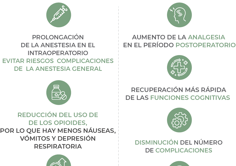 Proyectos archivo - Campus Vygon